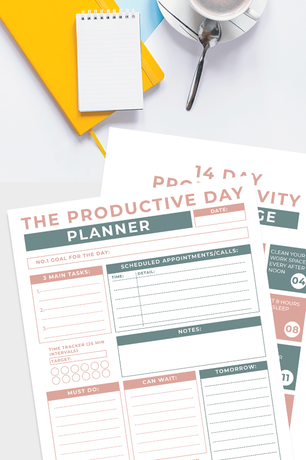 Daily Productivity Planner and Productivity Challenge Calendar ...